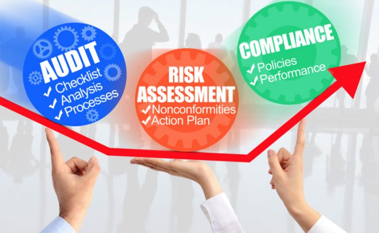 Internal Audit Services - Oasis Global Consulting (Pvt) Ltd.